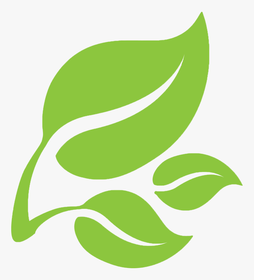 Body Wash – Green Leaf Health Product